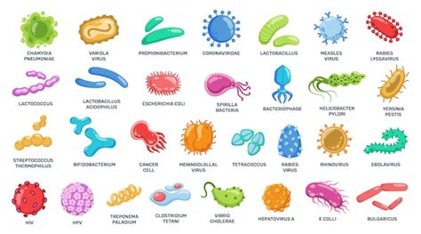 Células De Bactérias Em Projeto Plano Vetor Premium