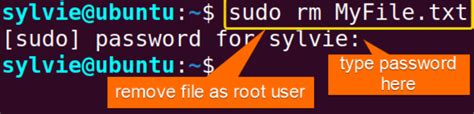 3 ways to remove write protected regular file using rm command