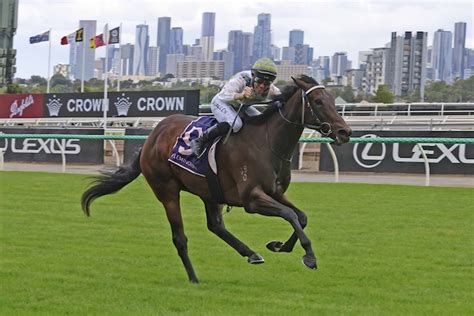 Skybird Gives Hp A Day Theyll Never Forget Breeding Racing