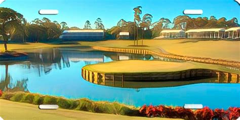 Sawgrass Color License Plate Golf Club Ball Text