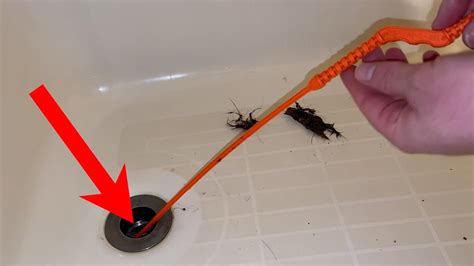 How To Use The Drain Weasel To Unclog Drains Youtube