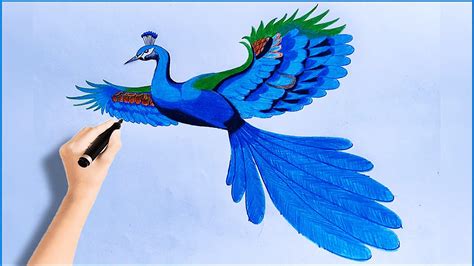 Peacock Flying Drawing Flying Peacock Vector Art Icons And Graphics