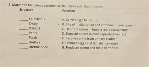 Solved 5 Match The Following Reproductive Structures With Chegg Com