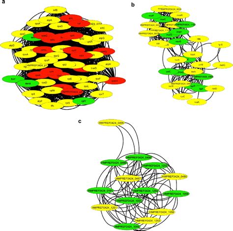 Clusters Generated By The Mcode Plugin In Cytoscape Red Green And