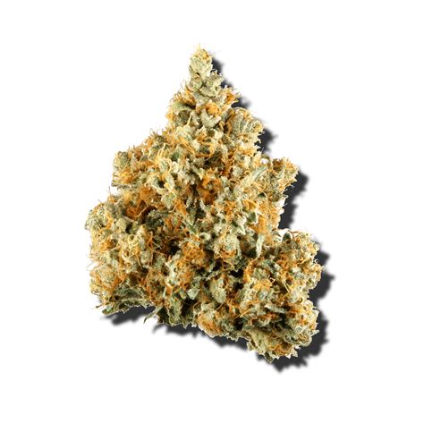 Moonbeam Kush At Mary Nugent Blog