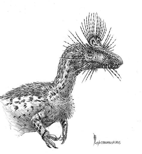 Cryolophosaurus Ellioti By Alainbeneteau On Deviantart