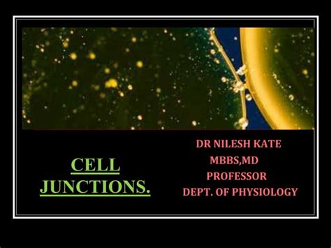 Cell Junctions And Cytoskeleton Pptx