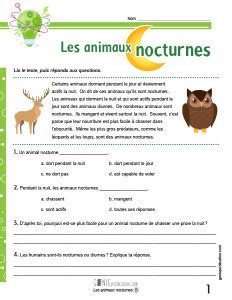 Géniepublication Catalogue Les Animaux Nocturnes