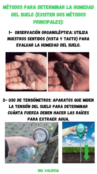 Métodos Para Determinar La Humedad En El Suelo Y Así Saber Cuando Regar
