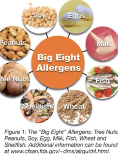 Immunity Hypersensitivity Flashcards Quizlet