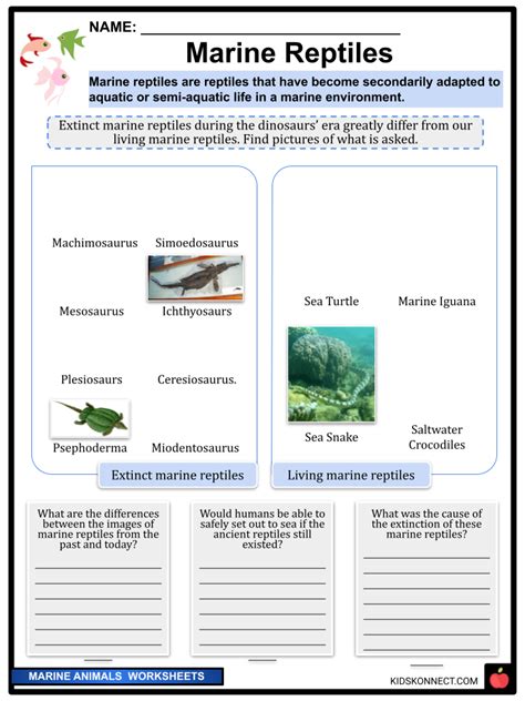Marine Animals Facts And Worksheets Habitats Adaptations Diet