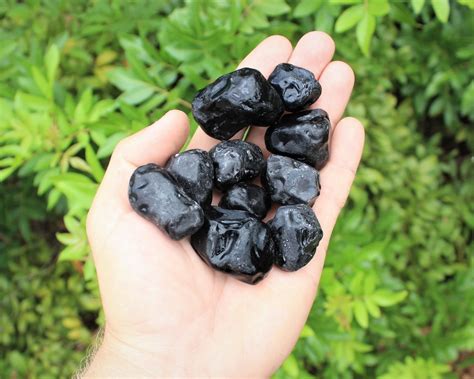 Apache Tears Rough Natural Stones Choose How Many A Grade Raw