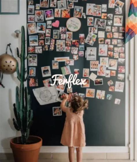 Etude De Cas Seo Ferflex Réinventer La Déco Magnétique