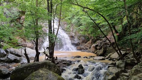 Yalova Kent Ormanı Kamp Alanı Çınarcık Yalova