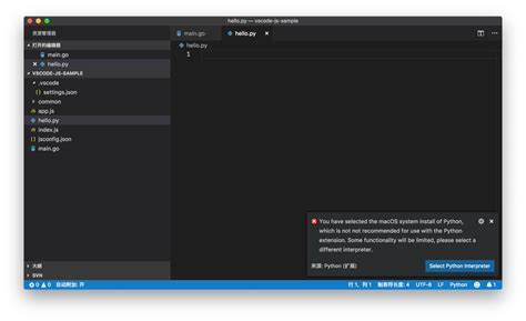 Vscode 支持python极客教程