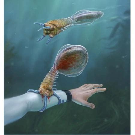 Spoilers Rsubnautica