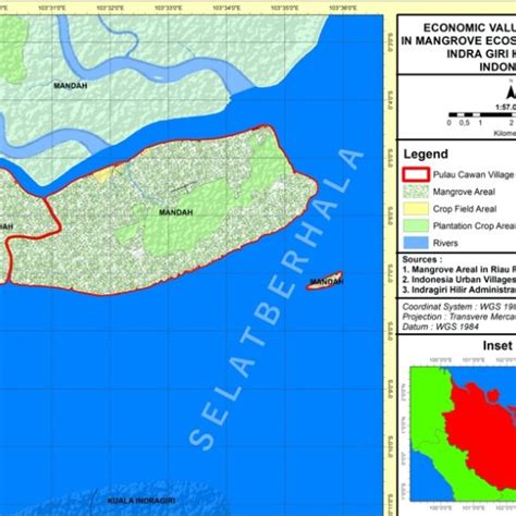 Levels Of Biomass Carbon Stock And Sequestration Download Scientific Diagram
