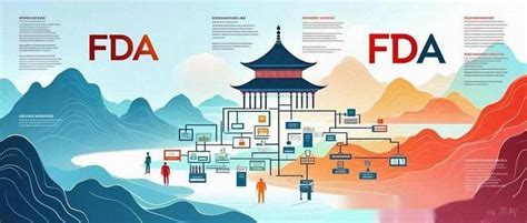 Fda组织架构 知乎