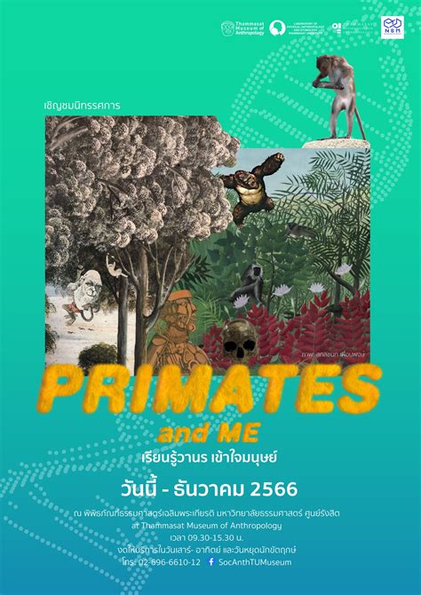 ขอเชิญร่วมชมนิทรรศการ Primates And Me Thammasat Museum Of Anthropology