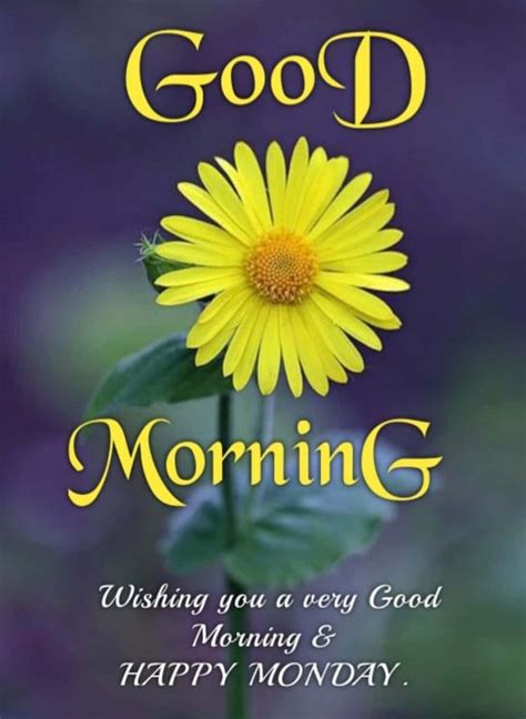 Monday Good Morning Wishes In English Images