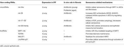 Frontiers Non Coding Rnas As Regulators Of Cellular Senescence In Idiopathic Pulmonary