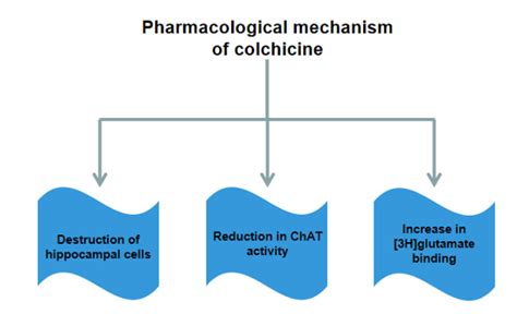 Colchicine Induced Model Creative Bioarray Creative Bioarray