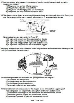 Worksheet Carbon Oxygen Cycle Editable Tpt