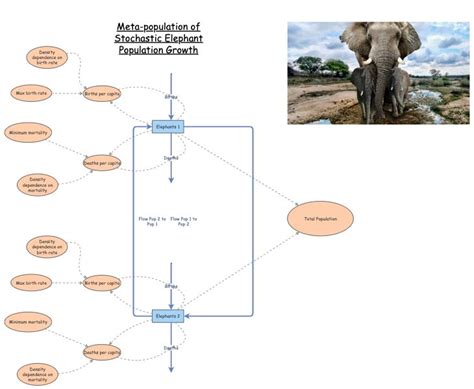 Clone Of Metapopulation Of Elephant Population Growth With