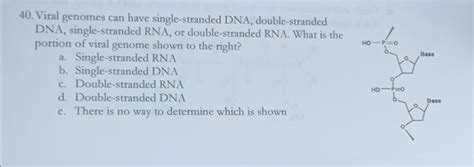 Solved 40 Viral Genomes Can Have Single Stranded Dna