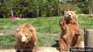 Bear Waving Animated 