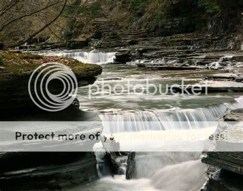 You Should Try To Help The Corals