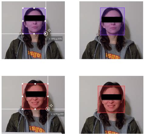 Employing The Artificial Intelligence Object Detection Tool Yolov8 For
