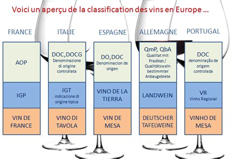 4 Niveaux à Connaître Pour Bien Classer Les Vins