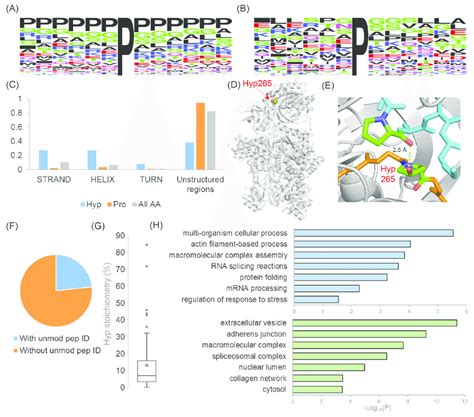Analysis Of The Structural And Functional Characteristics Of Proline