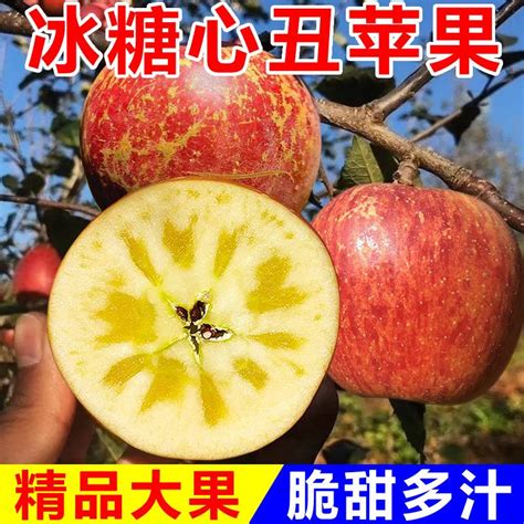 创业在线模拟商城