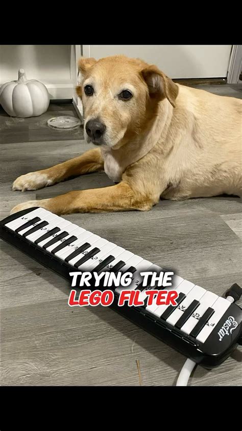 How To Play Rush E On Piano 🎹 Rush E Easy Piano Tutorial With Letter Notes Rushe Piano