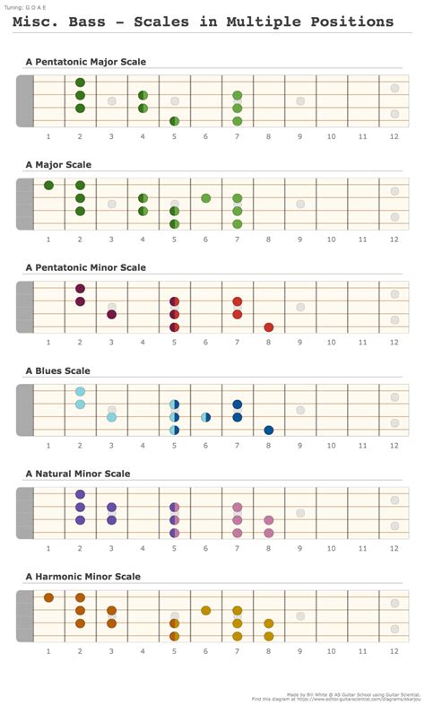 Bass Scale Finger Positions At Joyce Collins Blog