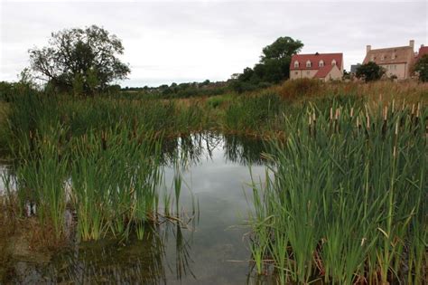 Mal Wilson Posted On Linkedin