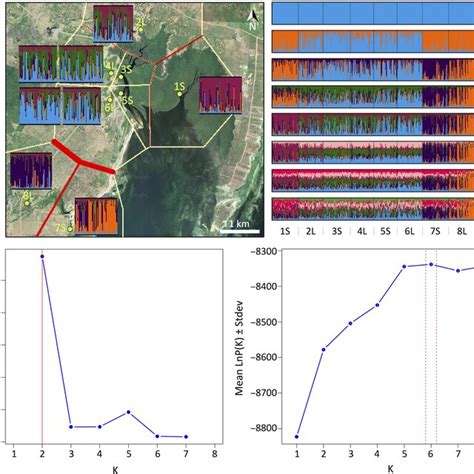 Map Of Gazi Bay With Results Of Bayesian Clustering Analysis Structure Download Scientific