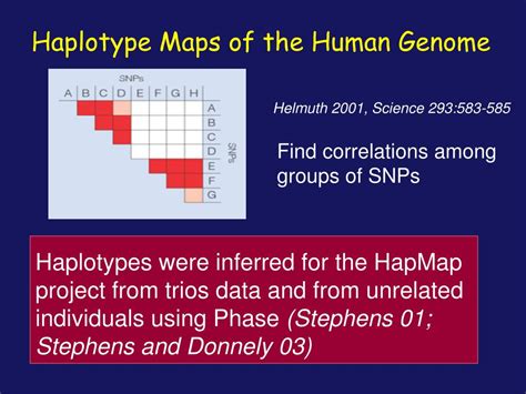 Ppt The International Hapmap Project A Rich Resource Of Genetic