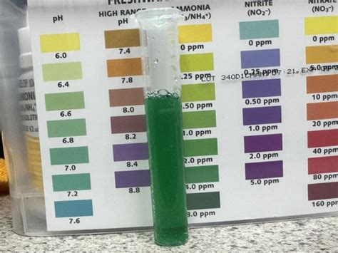 Api Test Kit Ammonia Reading R Neocaridina