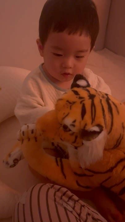 호랑이띠 아기 호랑이 사랑♥️ Youtube