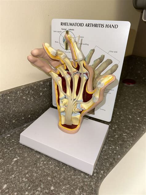 David Stainbrook Jr Do Facr Facoi Updated August 2025 715 Richland Mall Mansfield Ohio