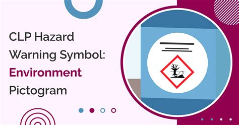 Clp Hazard Warning Symbol Environment Pictogram Dataessence Software