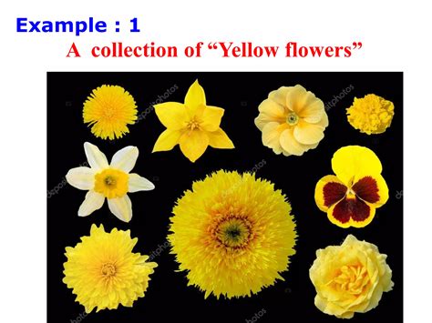 Sets Introduction PPT