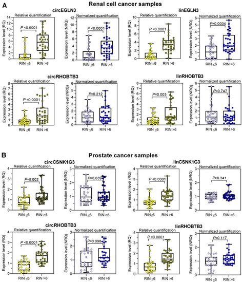 Normalization In Graphpad Prism 8 Ecolasopa