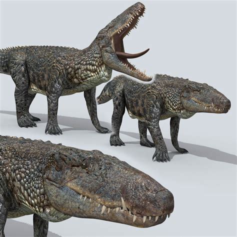 Postosuchus Barinasuchus Fasolasuchus Hd 3d Animated By Virtual Creator