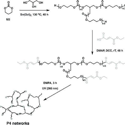 Synthesis Of P4 Networks Through Uv Cross Linking Of Fumaric Acid