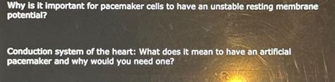 Solved Why Is It Important For Pacemaker Cells To Have An
