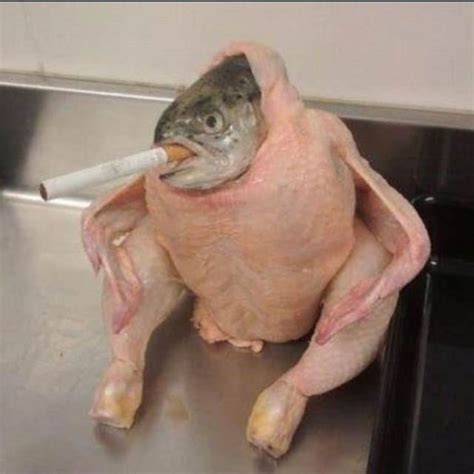 Youll Never Be As Cool As A Fish In A Chicken Smoking A Cigarette